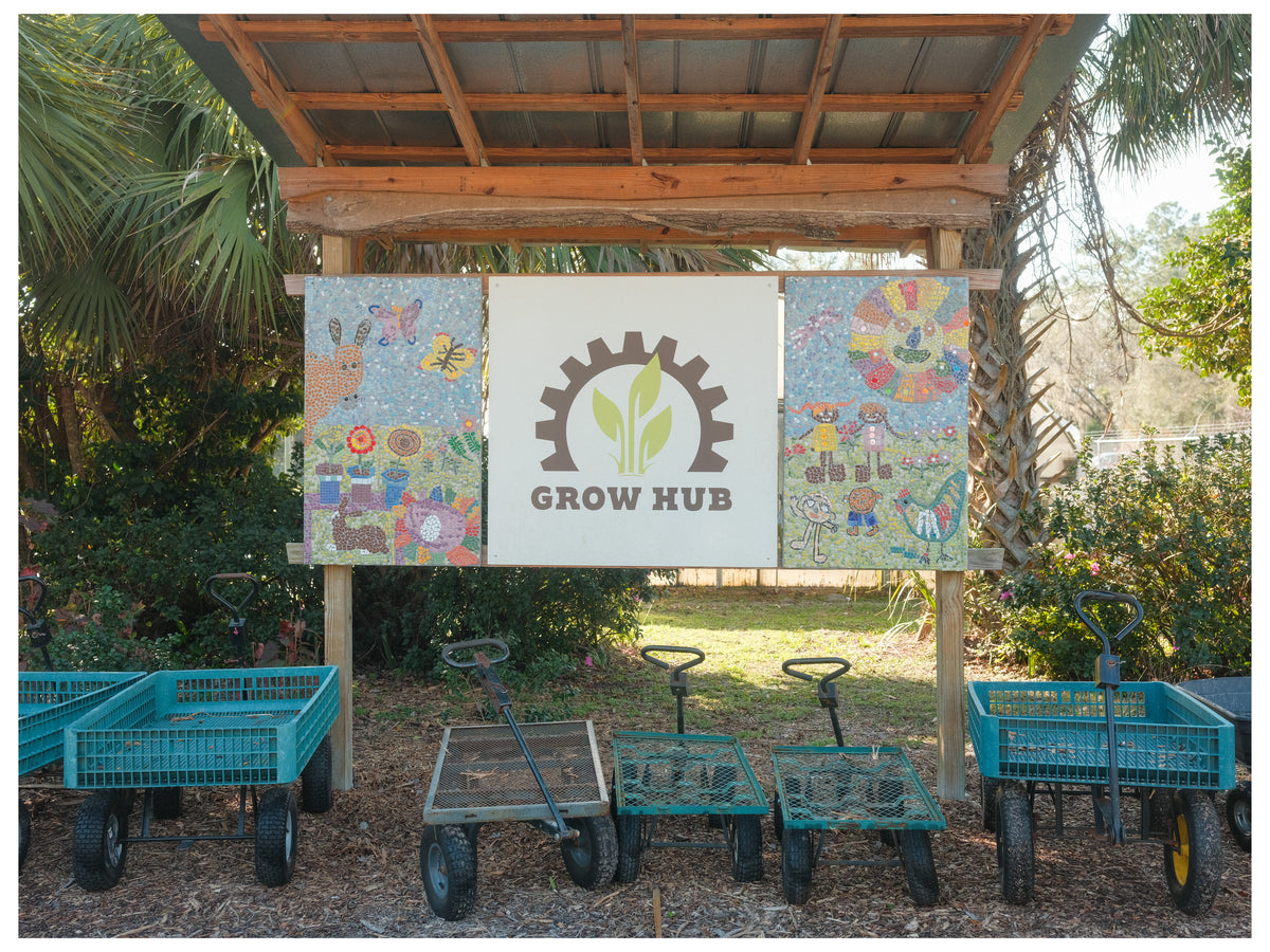 GROW HUB DARK ROAST – afternoon roasting